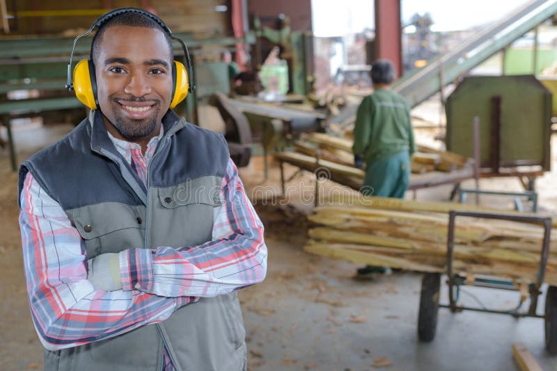 Happy Worker and Log Facility Supervisor Stock Photo - Image of noise ...