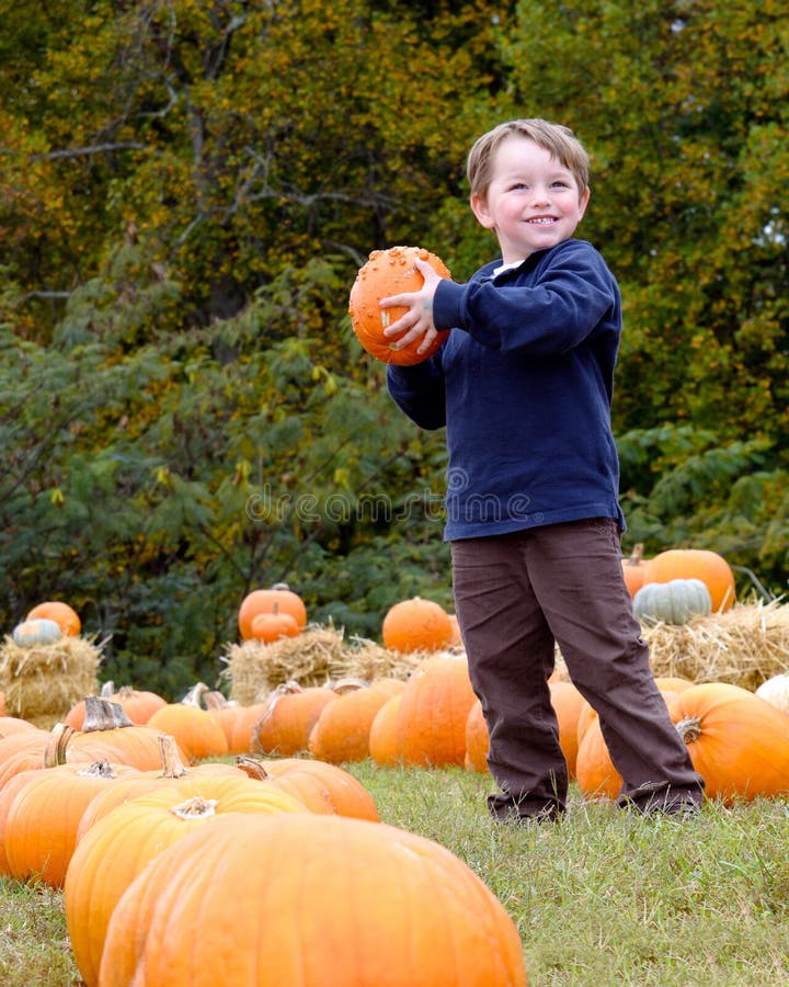 Little Toddler Boy on Pumpkin Field Stock Image - Image of choose ...