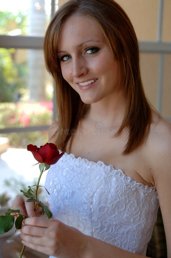 Window with flowers stock photo. Image of floral, flora - 5900090