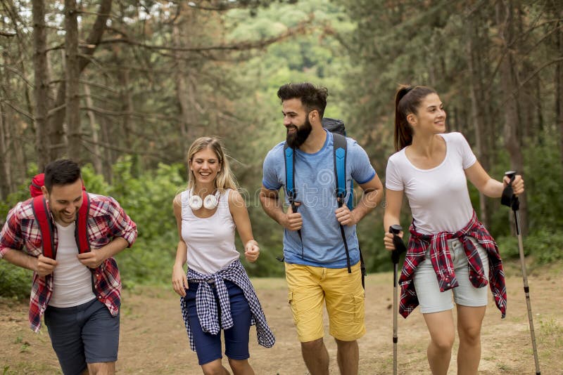 Happy Young Group Hiking Together through the Forest Stock Photo ...