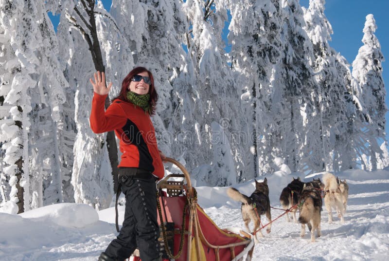 Man and Woman Cuddling Up with Siberian Husky Stock Image - Image of ...