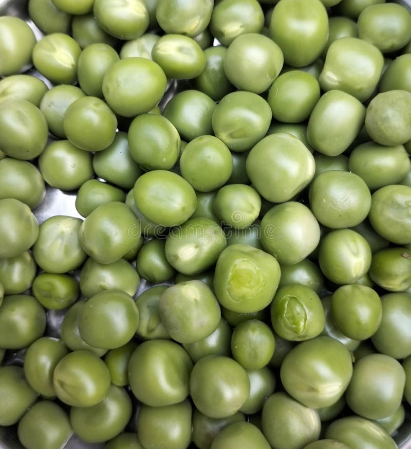 Hara matar peas stock photo. Image of peas, hara, matar - 267413436