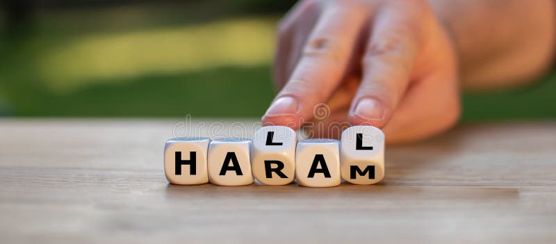 Haram or halal stock illustration. Illustration of islam - 344955681