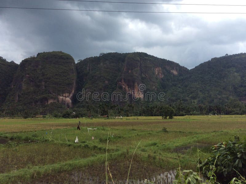 Harau valley stock photo. Image of valley, harau, rileks - 75391884