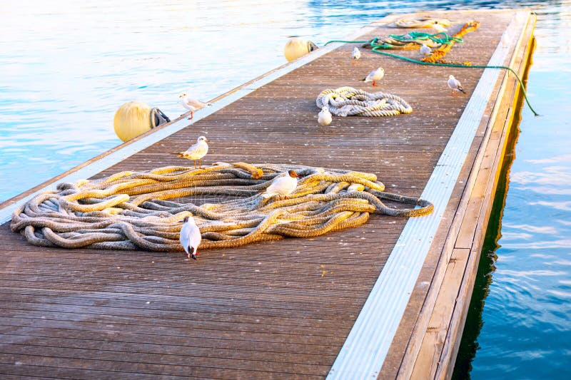 Harbor with nautical ropes stock photo. Image of pier - 278034546