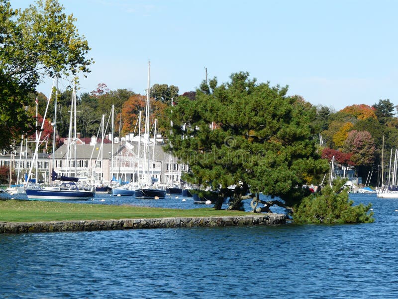 Harbor scene stock image. Image of trees, harbor, cruising - 11669083