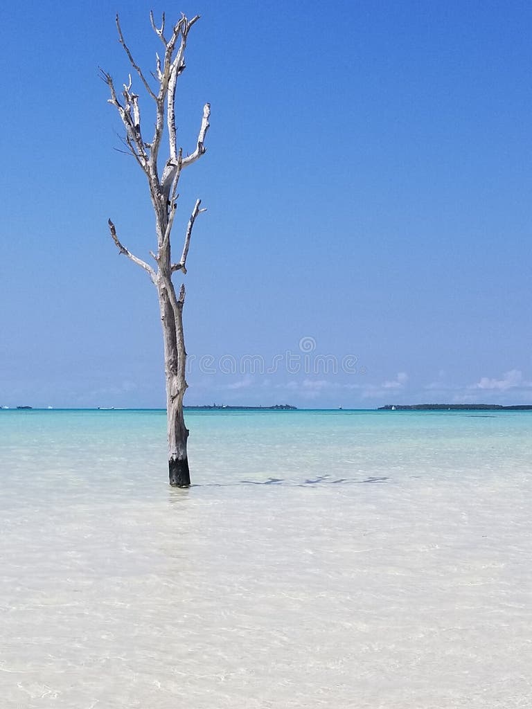 Eleuthera Harbour Island Map Stock Photos - Free & Royalty-Free Stock ...