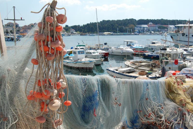 Harbour in Rovigno stock photo. Image of culinary, fisherman - 2455260