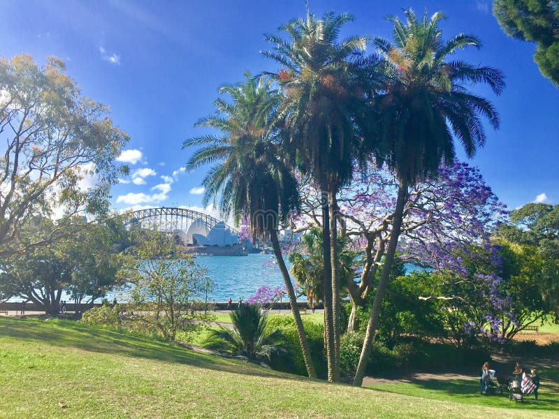 Harbour View from Botanic Gardens, Sydney Editorial Photo - Image of ...