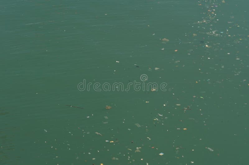 Harbour Waters are Contaminated with Floating Debris of Paper and ...