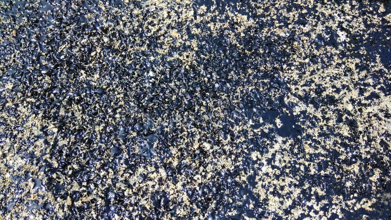 Hard Asphalt Texture Photo Stock Stock Image - Image of pattern, gravel ...
