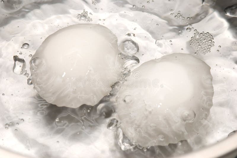 605 Egg Shell Boiled Water Stock Photos - Free & Royalty-Free Stock ...