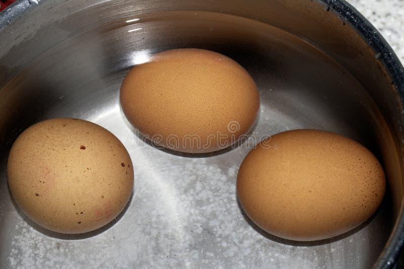 Hard Boiled Eggs Cooking in Water Stock Image - Image of ingredient ...