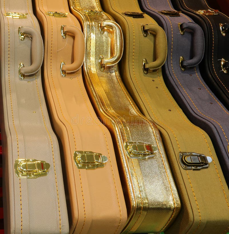 Hard Case for Protecting and Transporting Musical Instruments Like ...