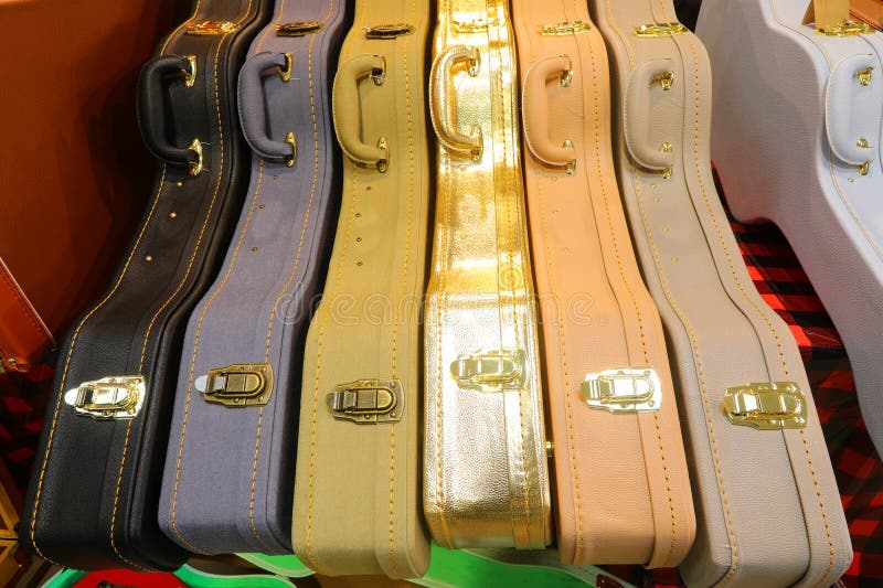 Hard Case for Protecting and Transporting Musical Instruments Like ...