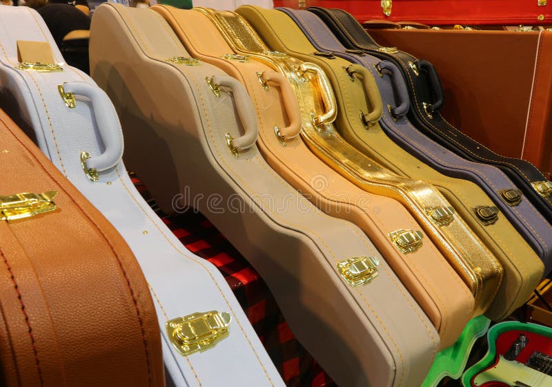 Hard Case for Protecting and Transporting Musical Instruments Like ...