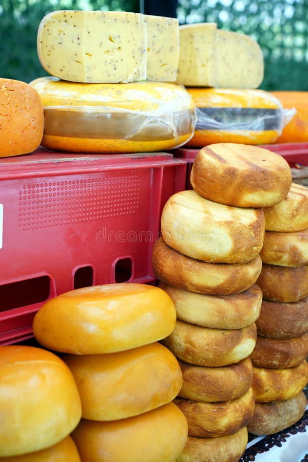 Hard cheese. stock image. Image of cuisine, product - 388479009