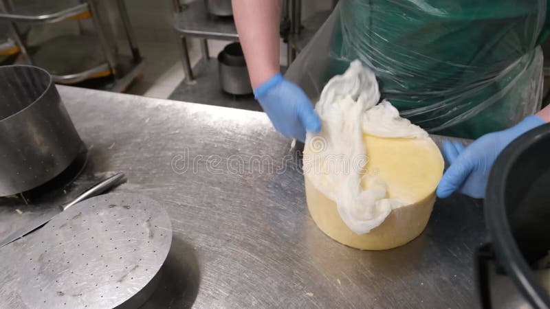 Hard Cheese Production Process. a Worker Molds Cheese into Special ...