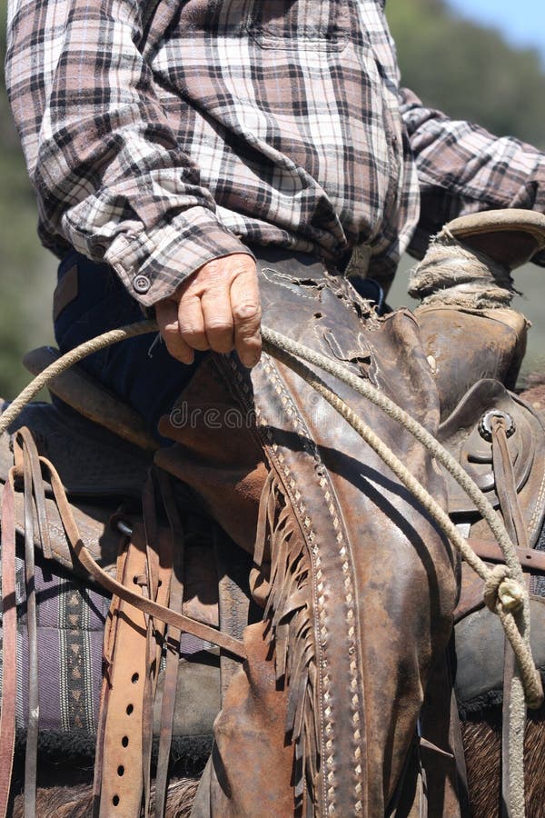 Cowboy days stock photo. Image of wrangler, gathering - 2278270