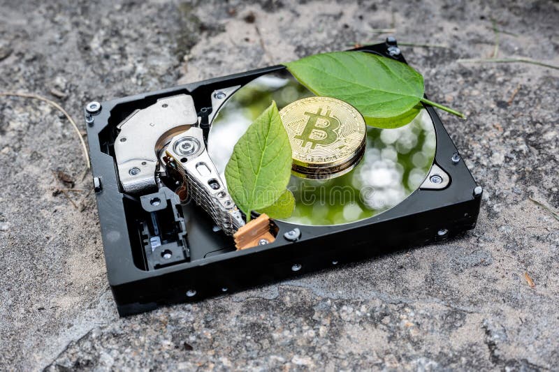 Hard Disk Drive with a Bitcoin and a Chia Leaf on a Concrete Surface ...