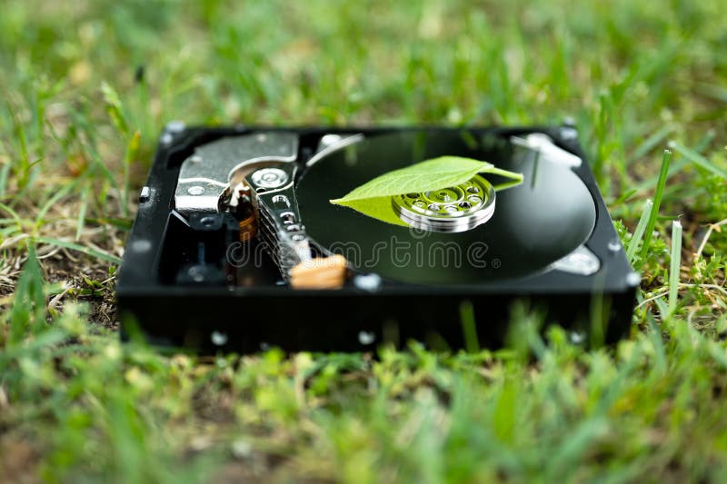 Hard Disk Drive with a Chia Leaf on the Grass Stock Image - Image of ...