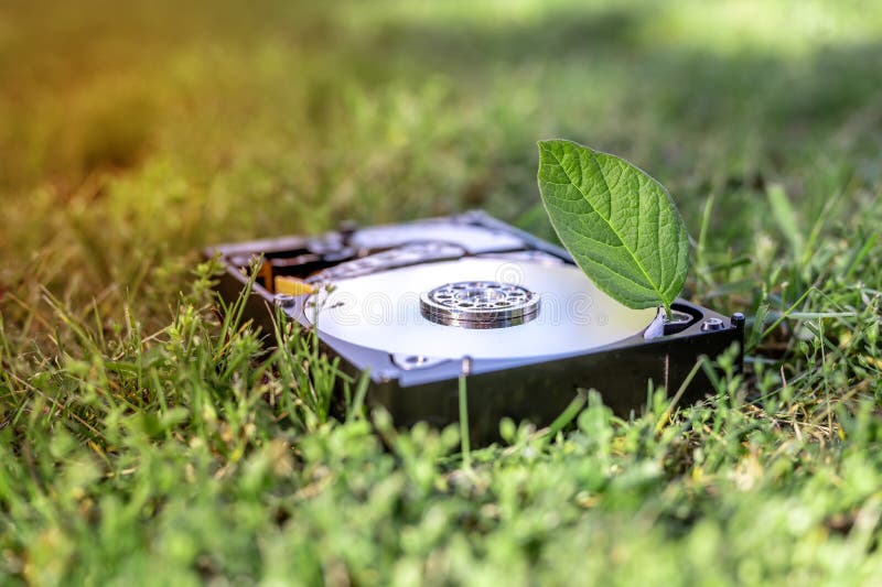 Hard Disk Drive with a Chia Leaf on the Grass Stock Photo - Image of ...