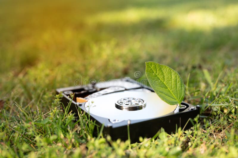 Hard Disk Drive with a Chia Leaf on the Grass Stock Image - Image of ...