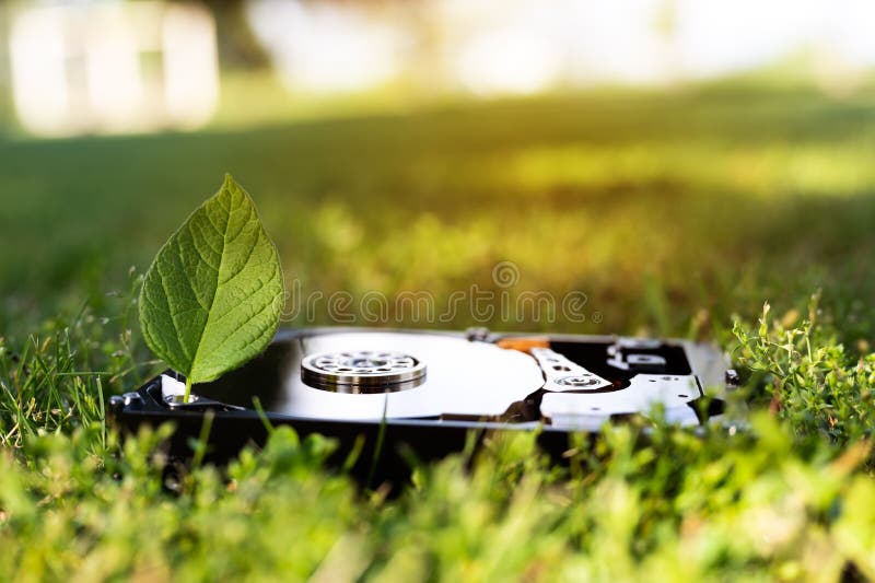 Hard Disk Drive with a Chia Leaf on the Grass Stock Photo - Image of ...
