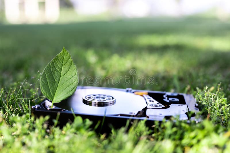 Hard Disk Drive with a Chia Leaf on the Grass Stock Photo - Image of ...