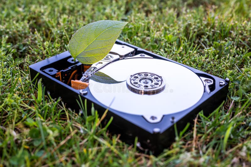Hard Disk Drive with a Chia Leaf on the Grass Stock Photo - Image of ...