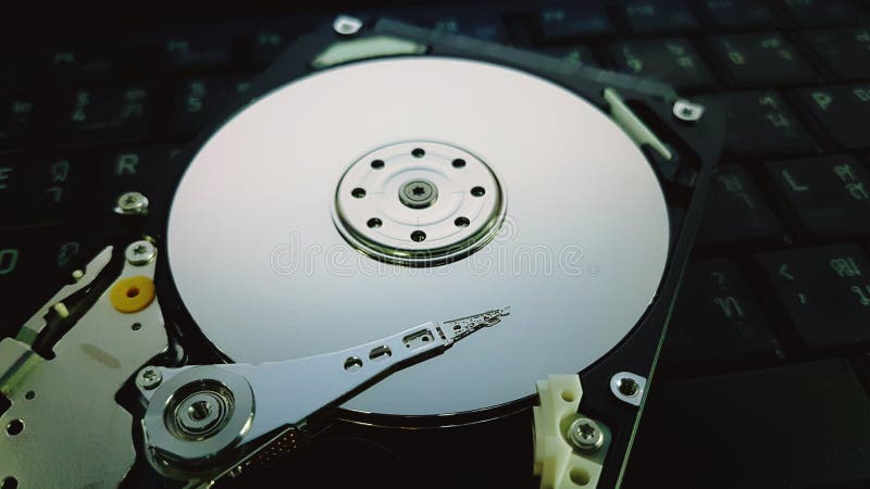 Hard Disk Drives on Keyboard Stock Photo - Image of stinging, work ...