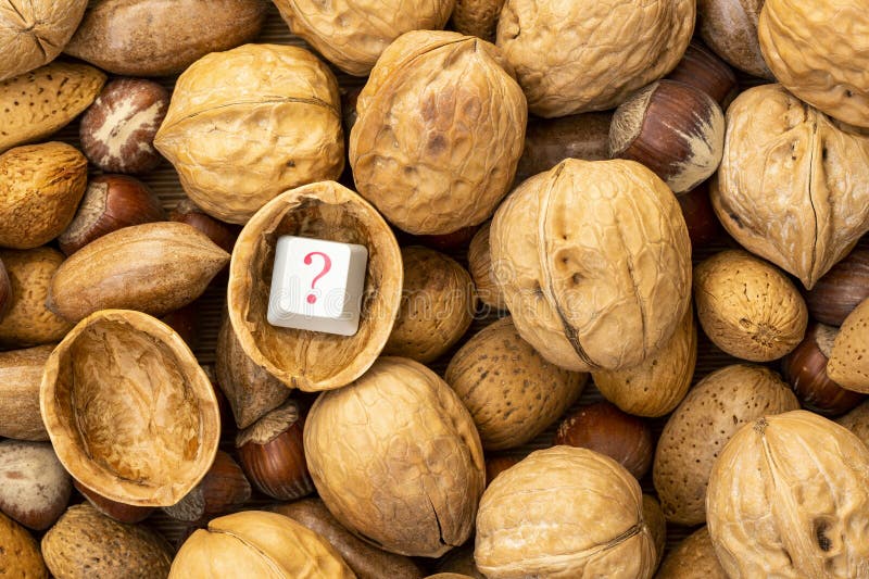 The Computer Keyboard Key with a Question Mark in the Shell of a Nut ...