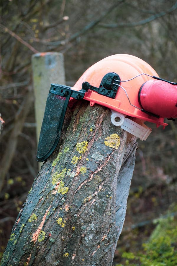 Hard Hat with Visor and Hearing Protection is Stuck on a Tree Trunk ...