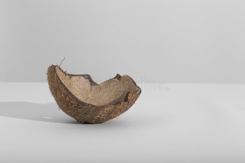 Hard Light White Background Coconut and Shell Stock Image - Image of ...