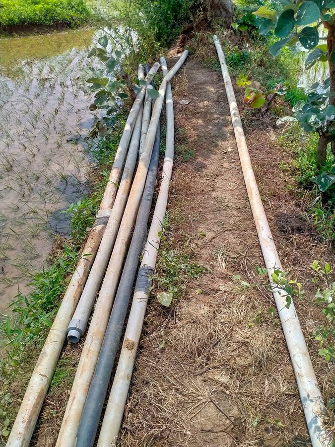 Hard Plastic Pipes in Farm. Stock Image - Image of farm, pipe: 224675131