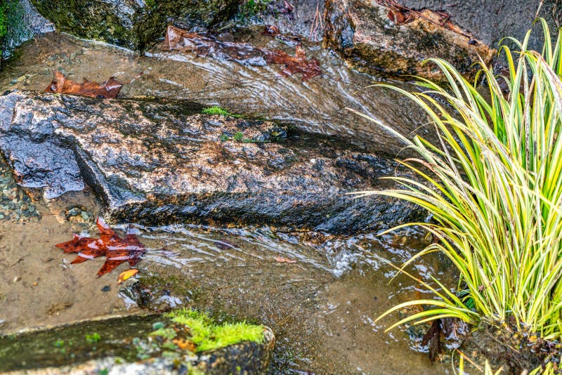 Hard Rock Stream stock image. Image of outdoors, details - 371482879