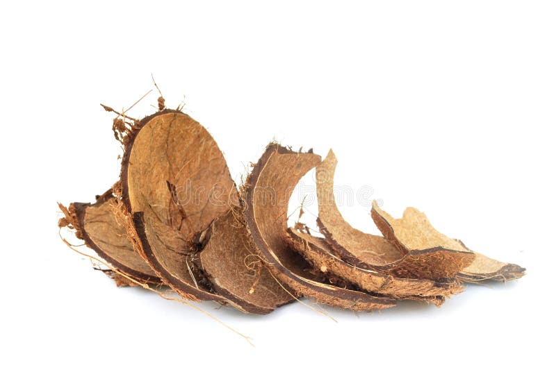 Hard Shell of Coconut White Background. Stock Photo - Image of concept ...