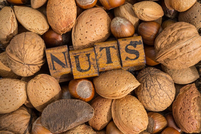 Hard shell nuts stock image. Image of healthy, texture - 70305349