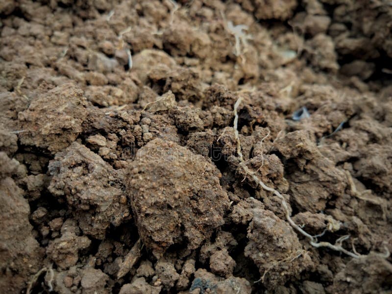 Hard soil 4 stock photo. Image of ploughland, land, winter - 86652152