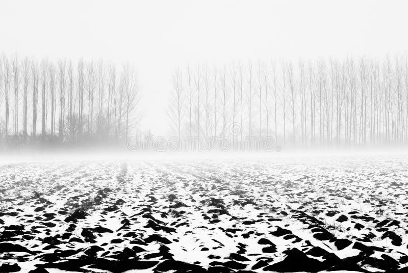 Hard soil 2 stock photo. Image of soil, snow, ploughland - 86652084