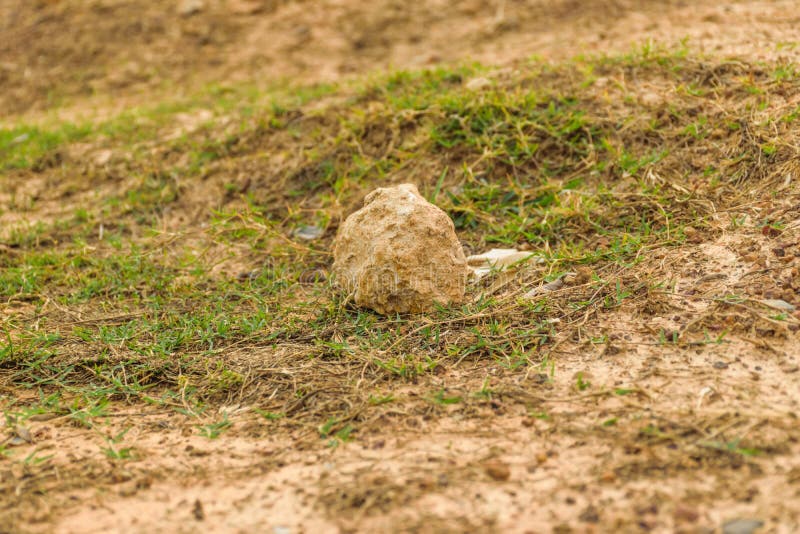 Hard soil stock photo. Image of nature, rough, hard, dirt - 89320278