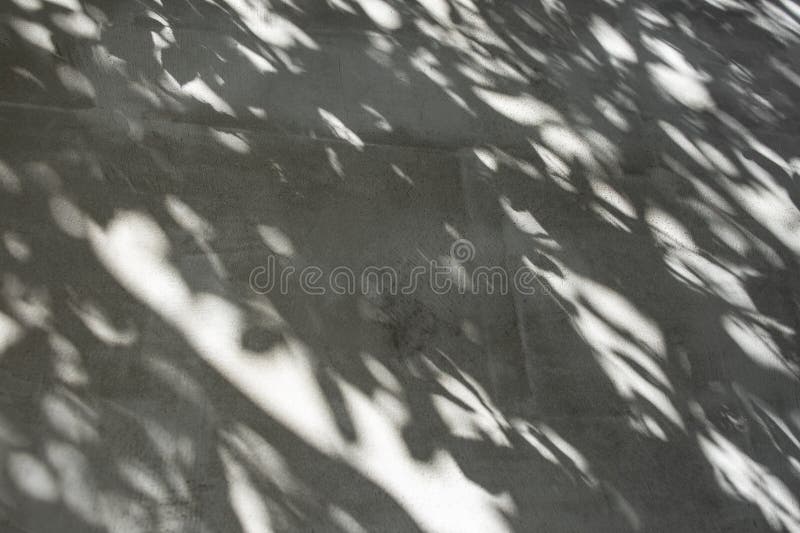 Hard Tree Shadows on Cement Textured Wall, Abstract Backdrop Stock ...