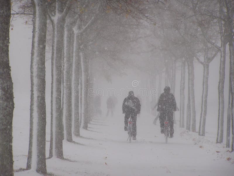 20,768 Hard Winter Stock Photos - Free & Royalty-Free Stock Photos from ...