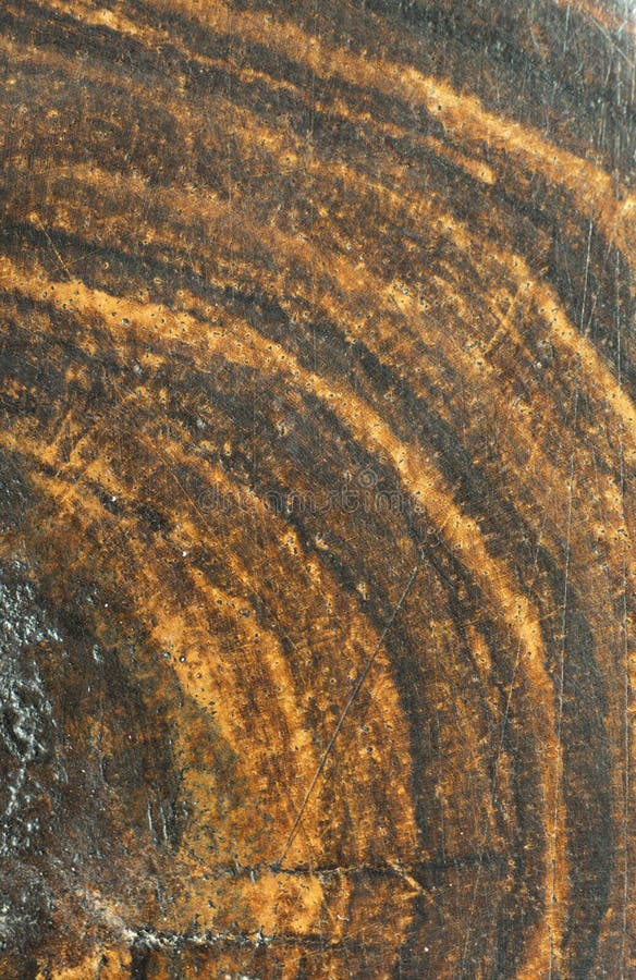 Hard Wood Growth Rings, Macro Texture Stock Photo - Image of detail ...