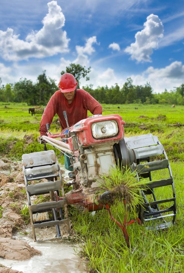 Hard working asian farmer stock photo. Image of harvest - 15664040