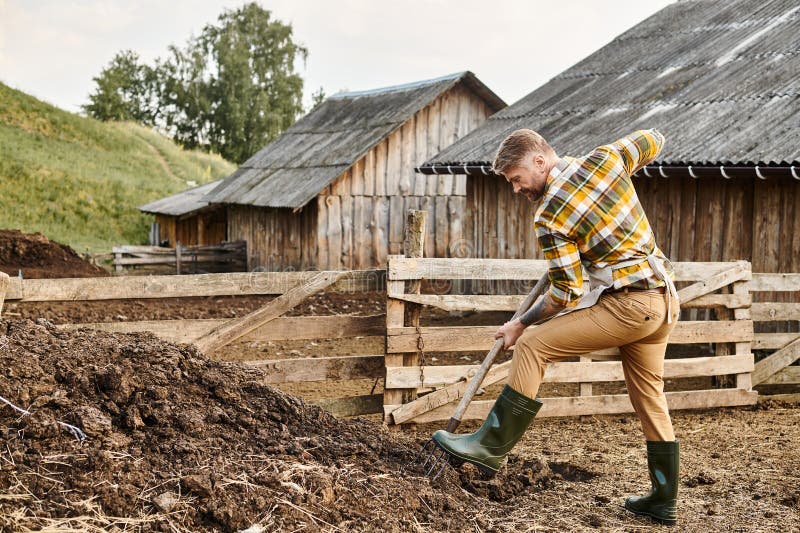 Hard Working Attractive Farmer with Beard Stock Photo - Image of ...