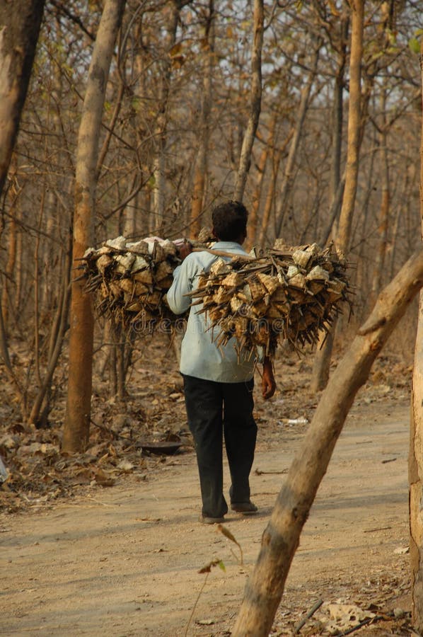 4,051 Working Hard Outside Stock Photos - Free & Royalty-Free Stock ...