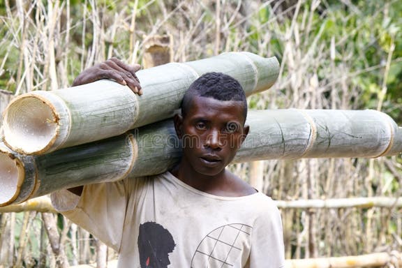 Hard Working Man Carrying a Tree Trunk - MADAGASCAR Stock Image - Image ...