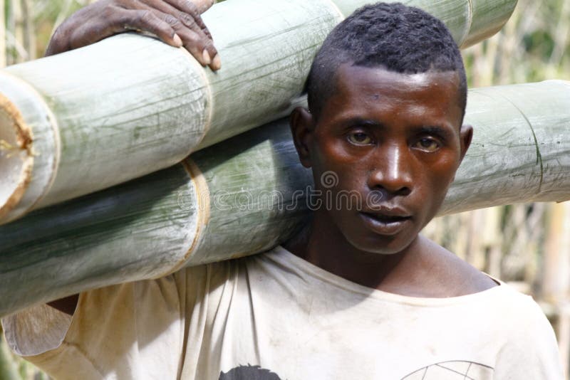 Hard Working Man Carrying a Tree Trunk - MADAGASCAR Stock Photo - Image ...