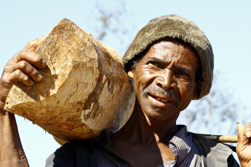 Hard Working Man Carrying a Tree Trunk - MADAGASCAR Stock Photo - Image ...